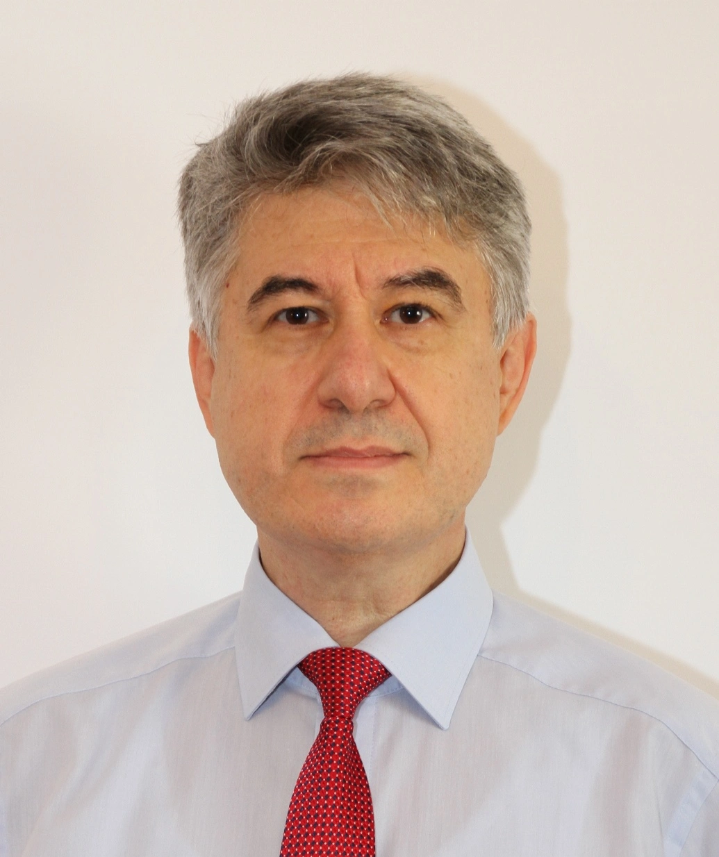 Liga Studenților Electroniști